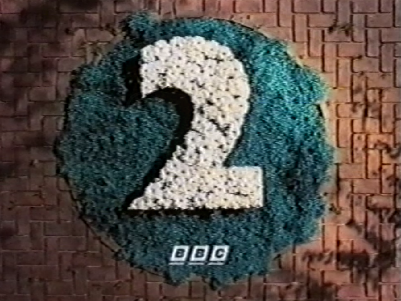 BBC Two continuity (1992) - Rewind